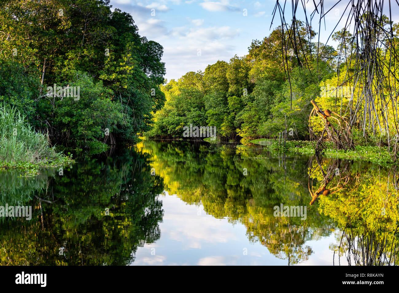 view of Guatemalan river Stock Photo - Alamy