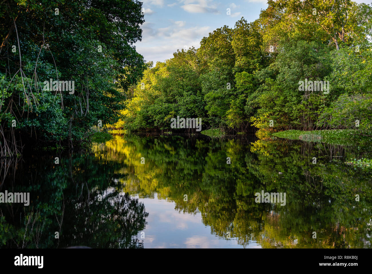 view of Guatemalan river Stock Photo - Alamy