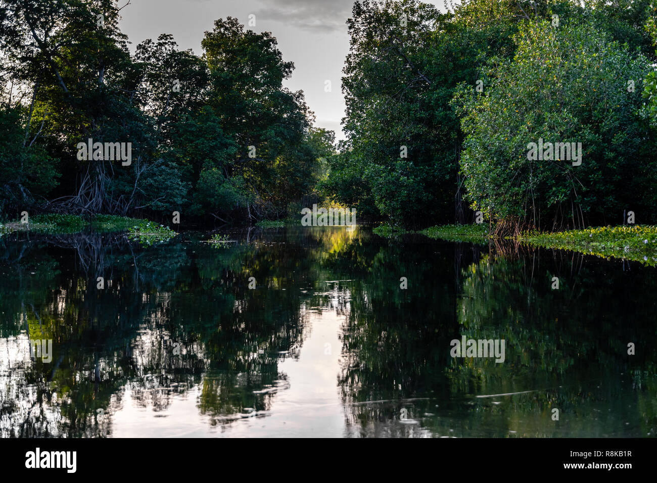view of Guatemalan river Stock Photo - Alamy
