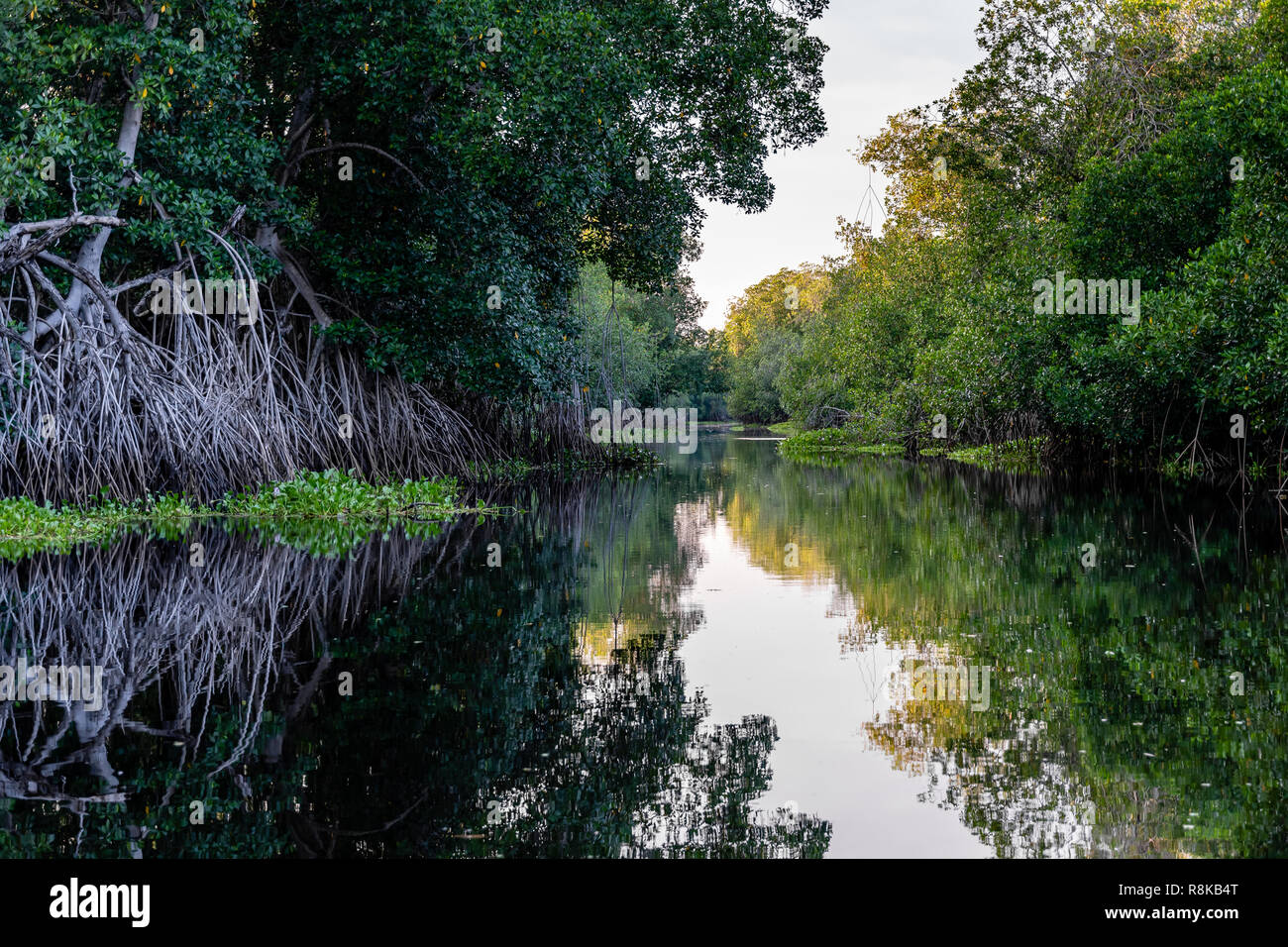 view of Guatemalan river Stock Photo - Alamy