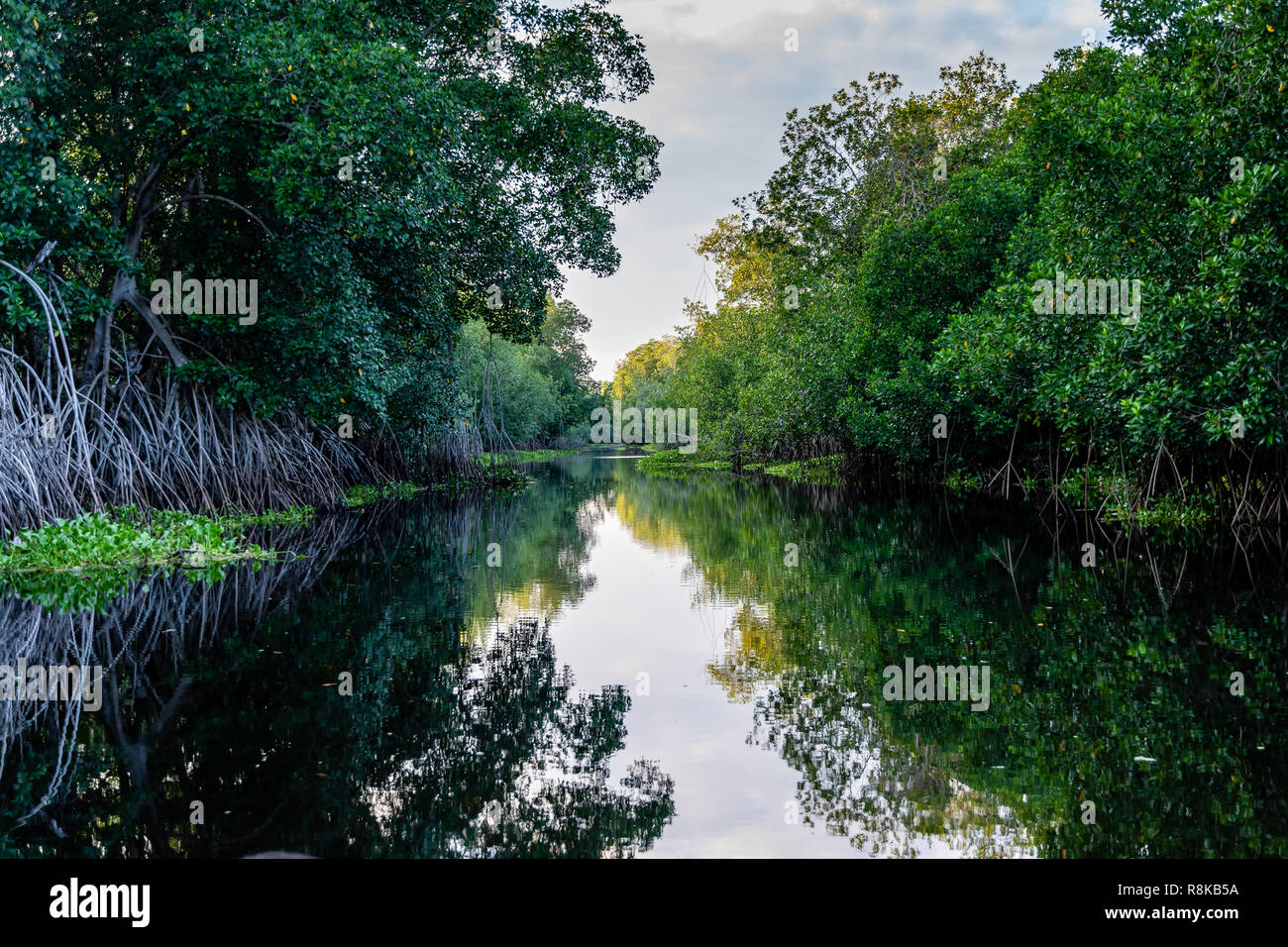 view of Guatemalan river Stock Photo - Alamy