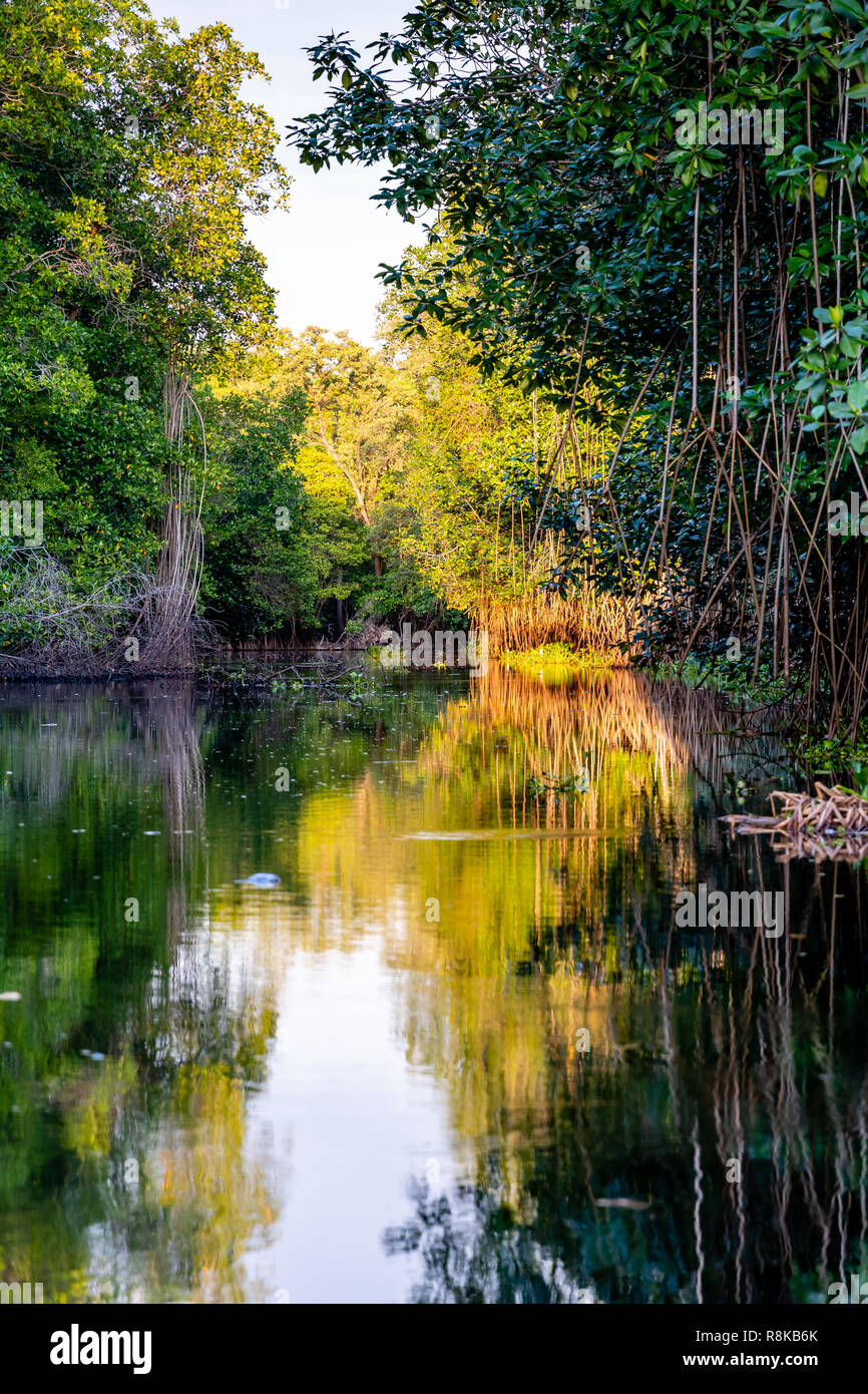 view of Guatemalan river Stock Photo - Alamy
