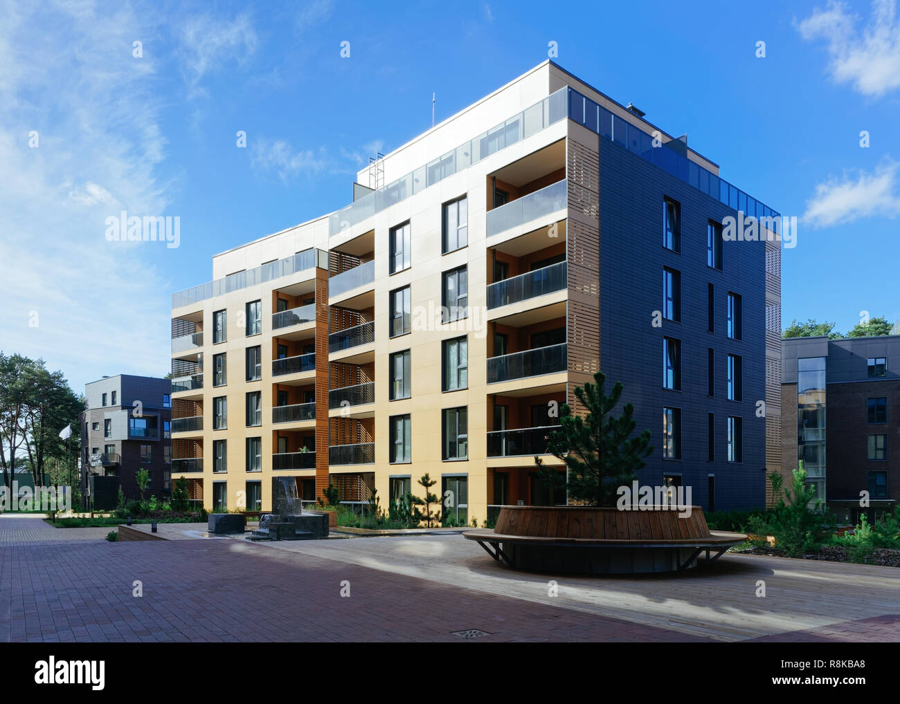 Pine tree at architectural complex of residential buildings. And ...