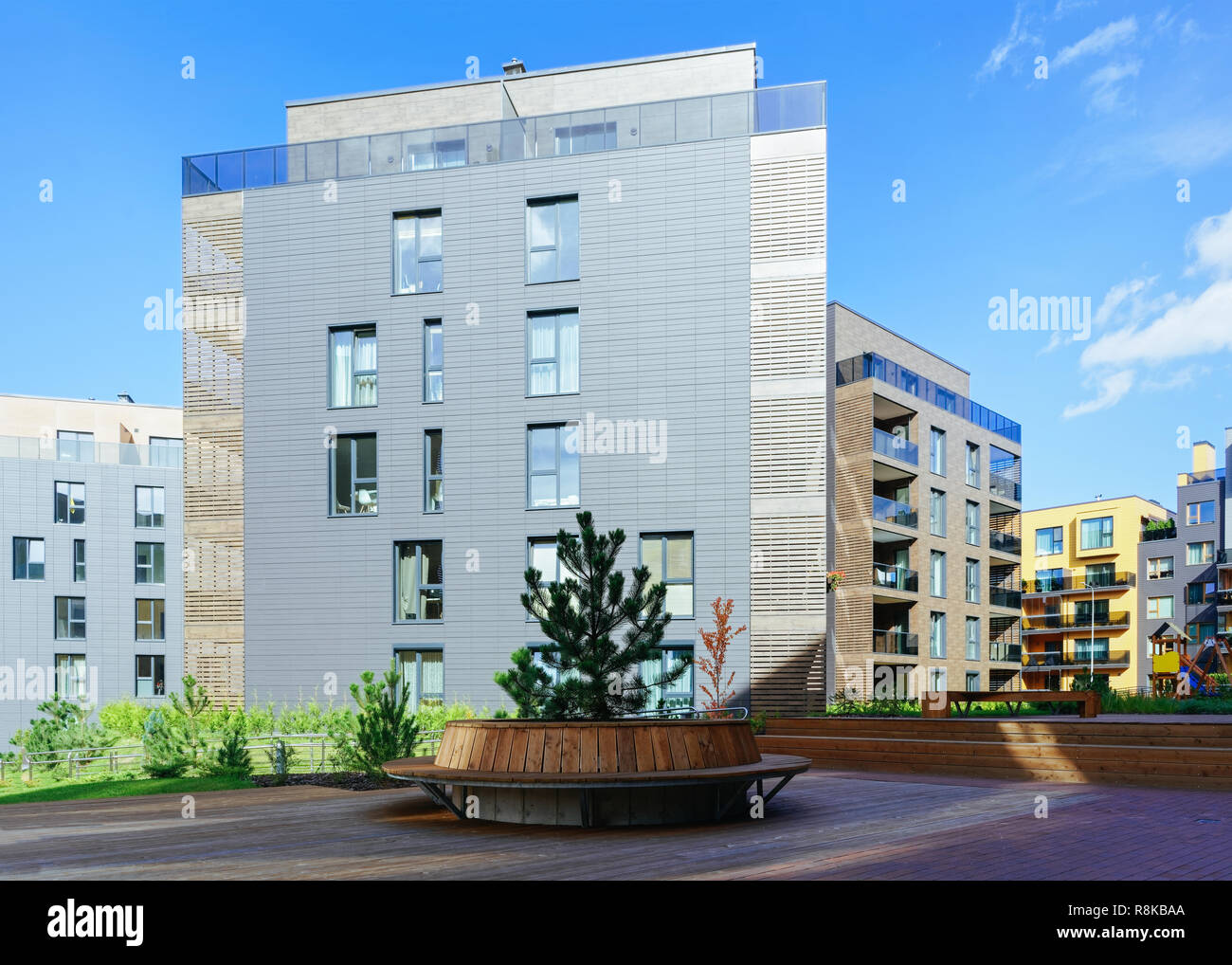 Pine tree at European architectural complex of apartment residential ...