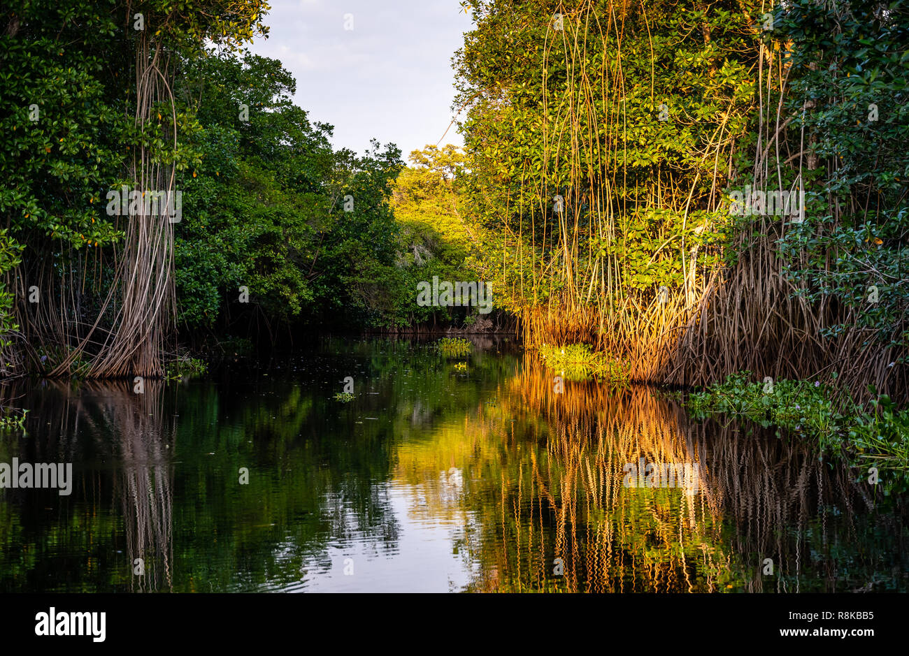 view of Guatemalan river Stock Photo - Alamy