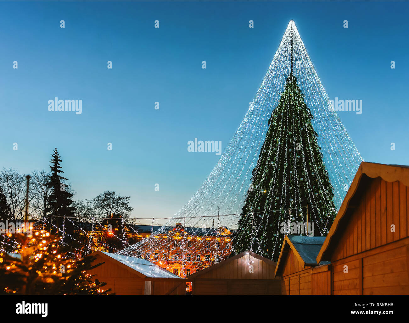 Christmas tree on Cathedral square in Vilnius in Lithuania Stock Photo ...