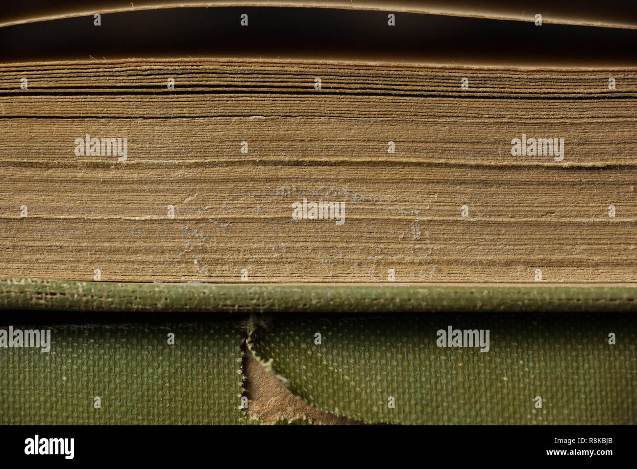 Damaged books hi-res stock photography and images - Alamy