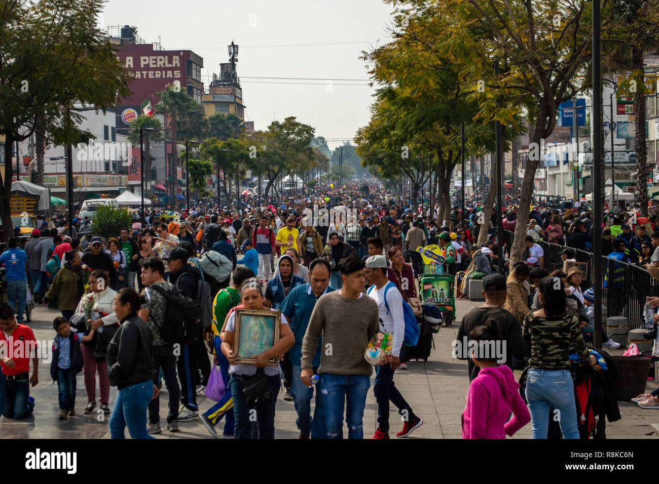 Pilgrims making their way to the Basilica of Our Lady of Guadalupe in ...