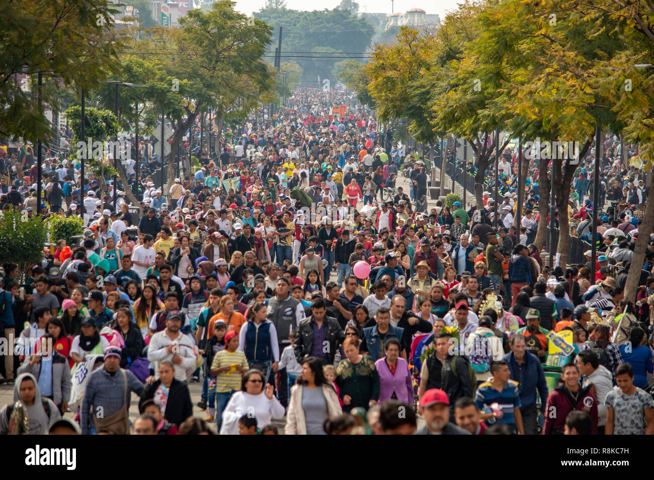 Pilgrims making their way to the Basilica of Our Lady of Guadalupe in ...