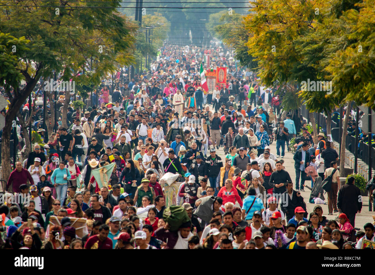 Pilgrims making their way to the Basilica of Our Lady of Guadalupe in ...