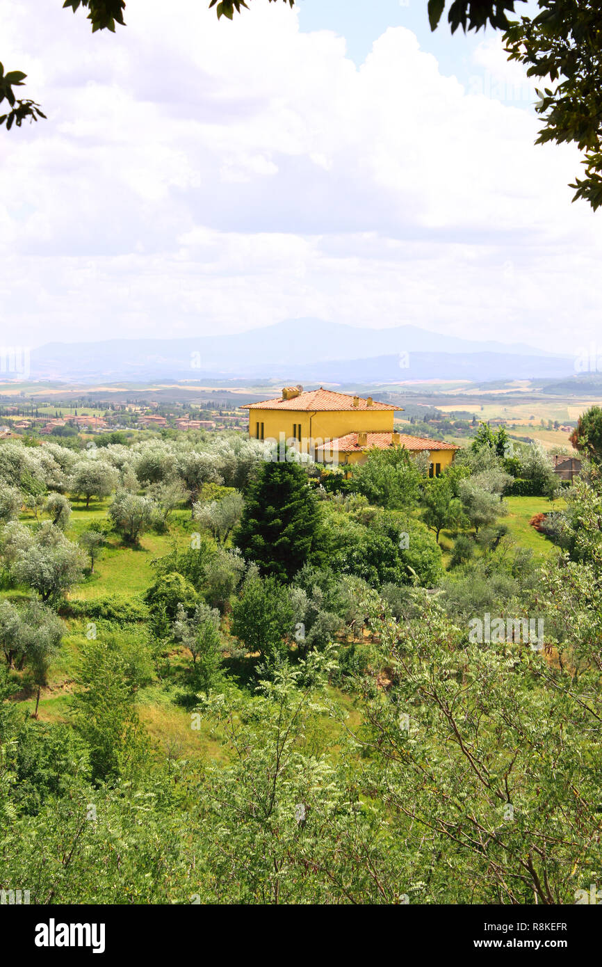 Typical Italian landscape with olive trees Stock Photo - Alamy