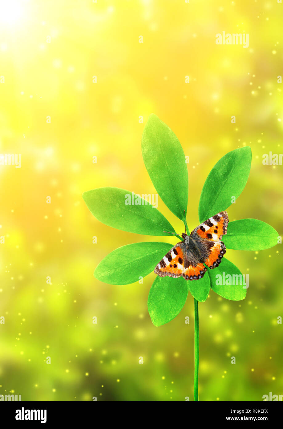 Summer background with green leaf and butterfly Stock Photo - Alamy