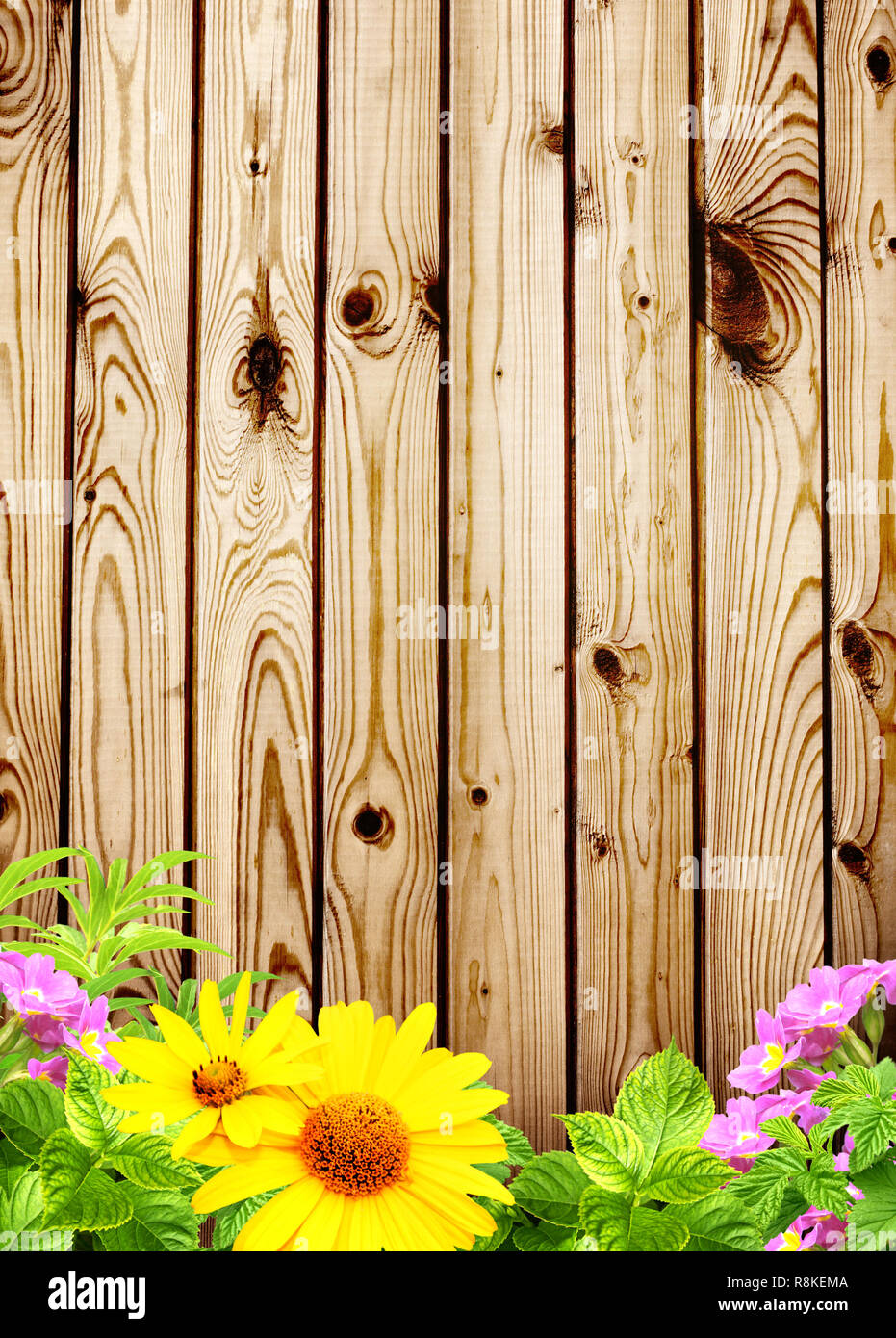 Summer background with old wooden fence, flower and green leaves Stock ...
