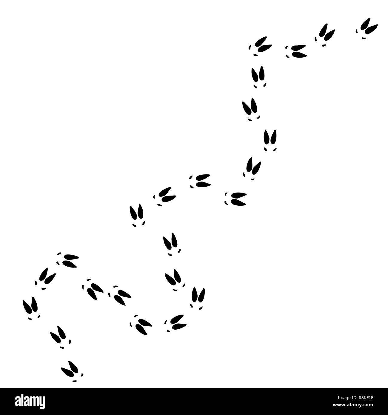 Elk foot prints. Vector illustration. Wild animal imprint Stock Vector ...