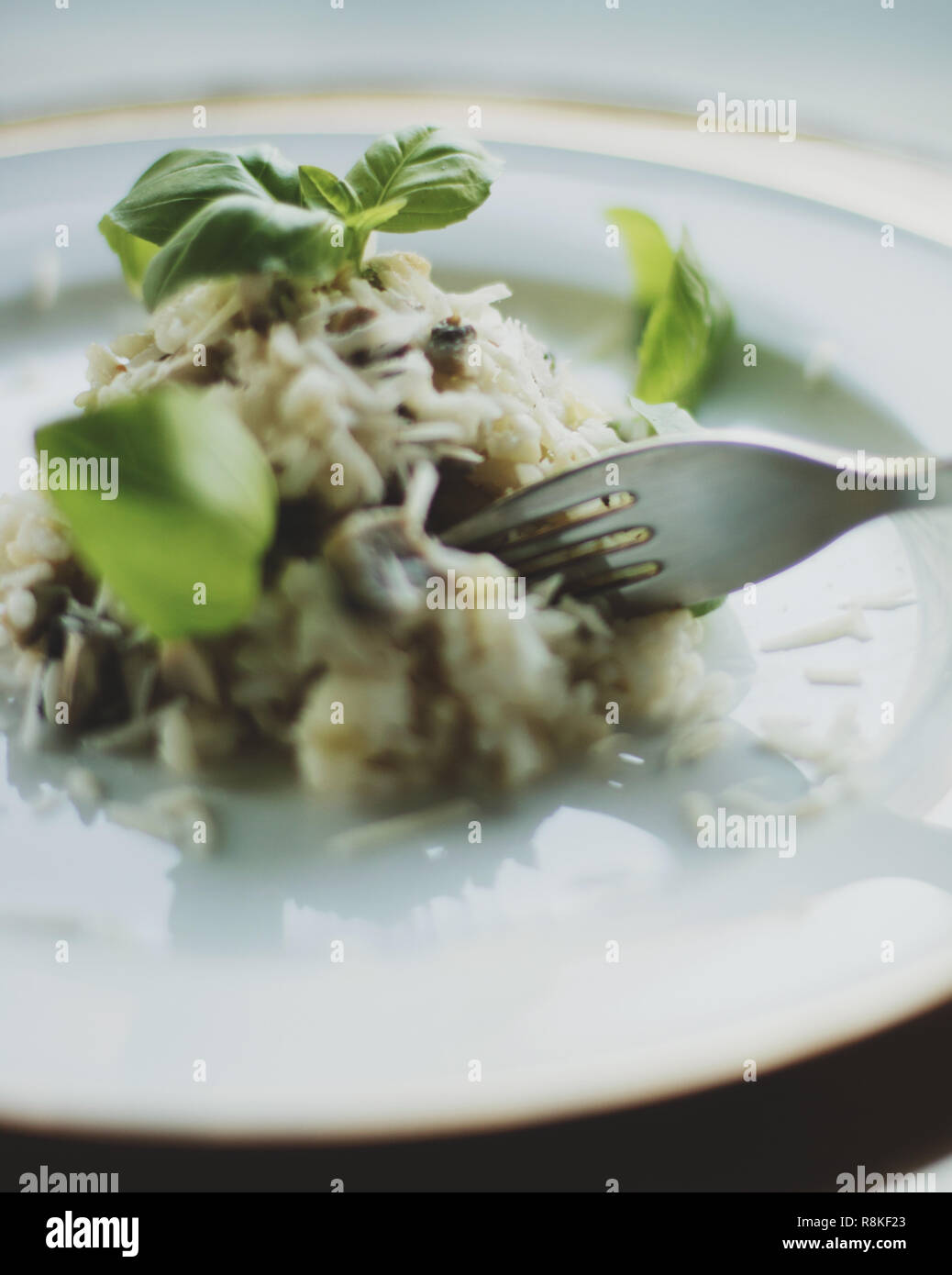 european and mediterranean cuisine styled concept - mushroom risotto ...