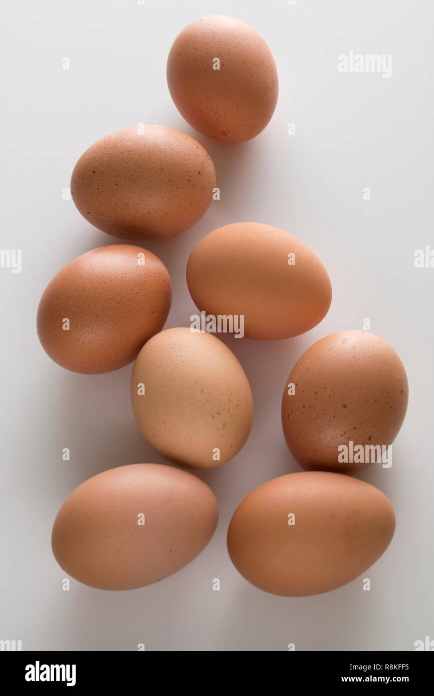 Set of eight ordinary chicken eggs on white Stock Photo - Alamy
