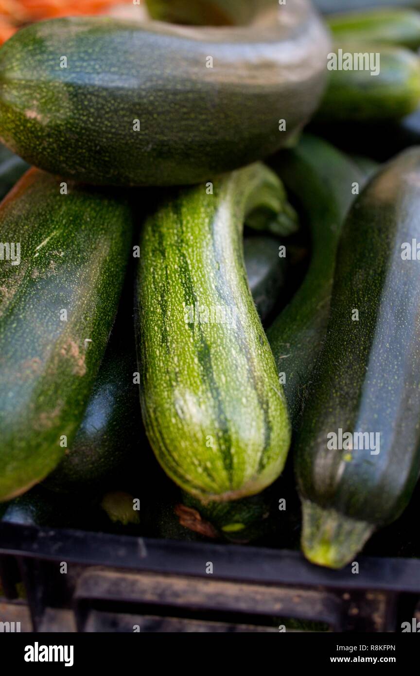 Large zucchini hi-res stock photography and images - Alamy
