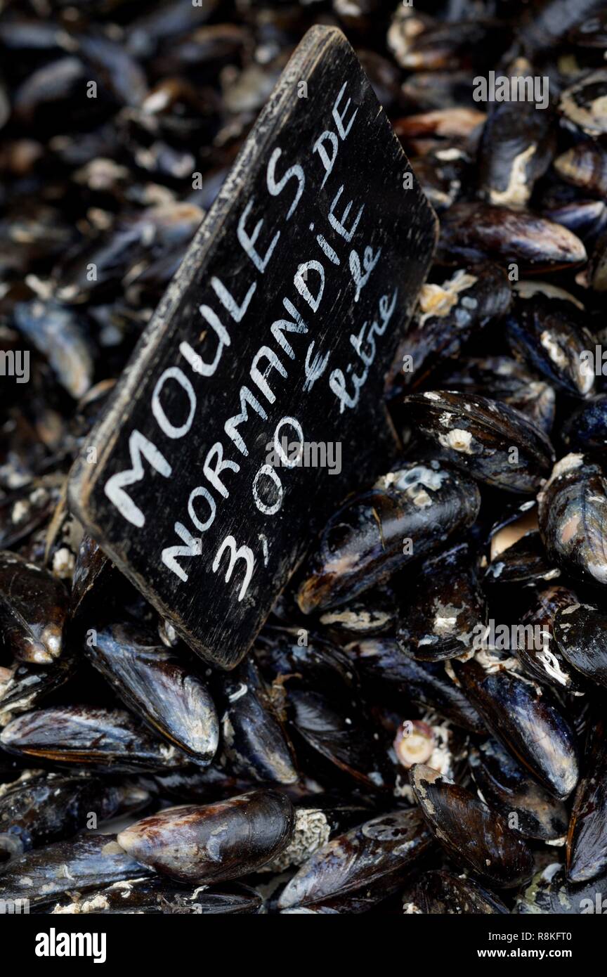 Mussels from Normandy Stock Photo - Alamy