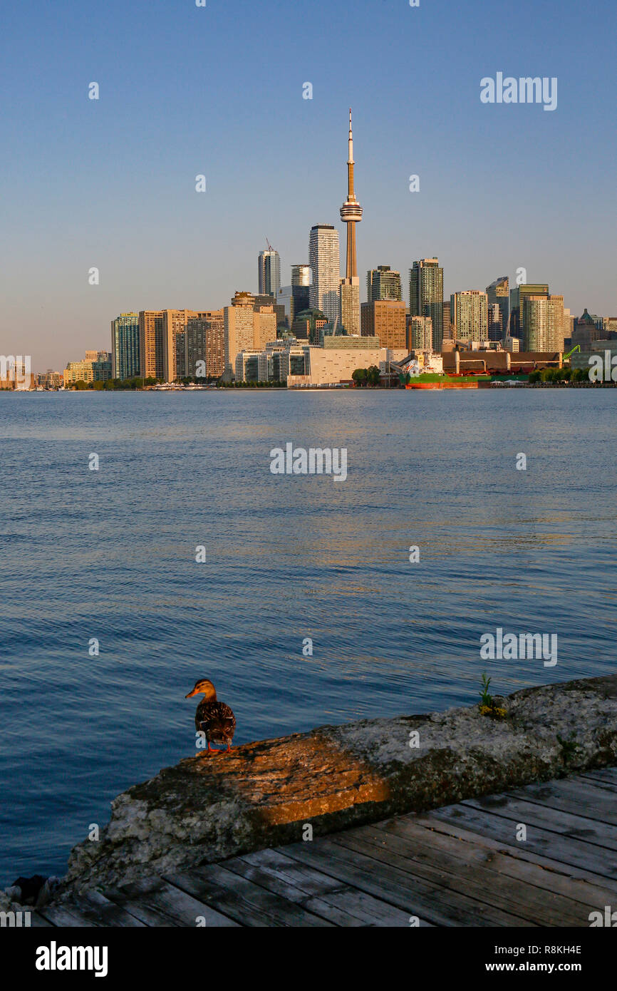 Canada, Province of Ontario, City of Toronto, City and its Sunrise ...