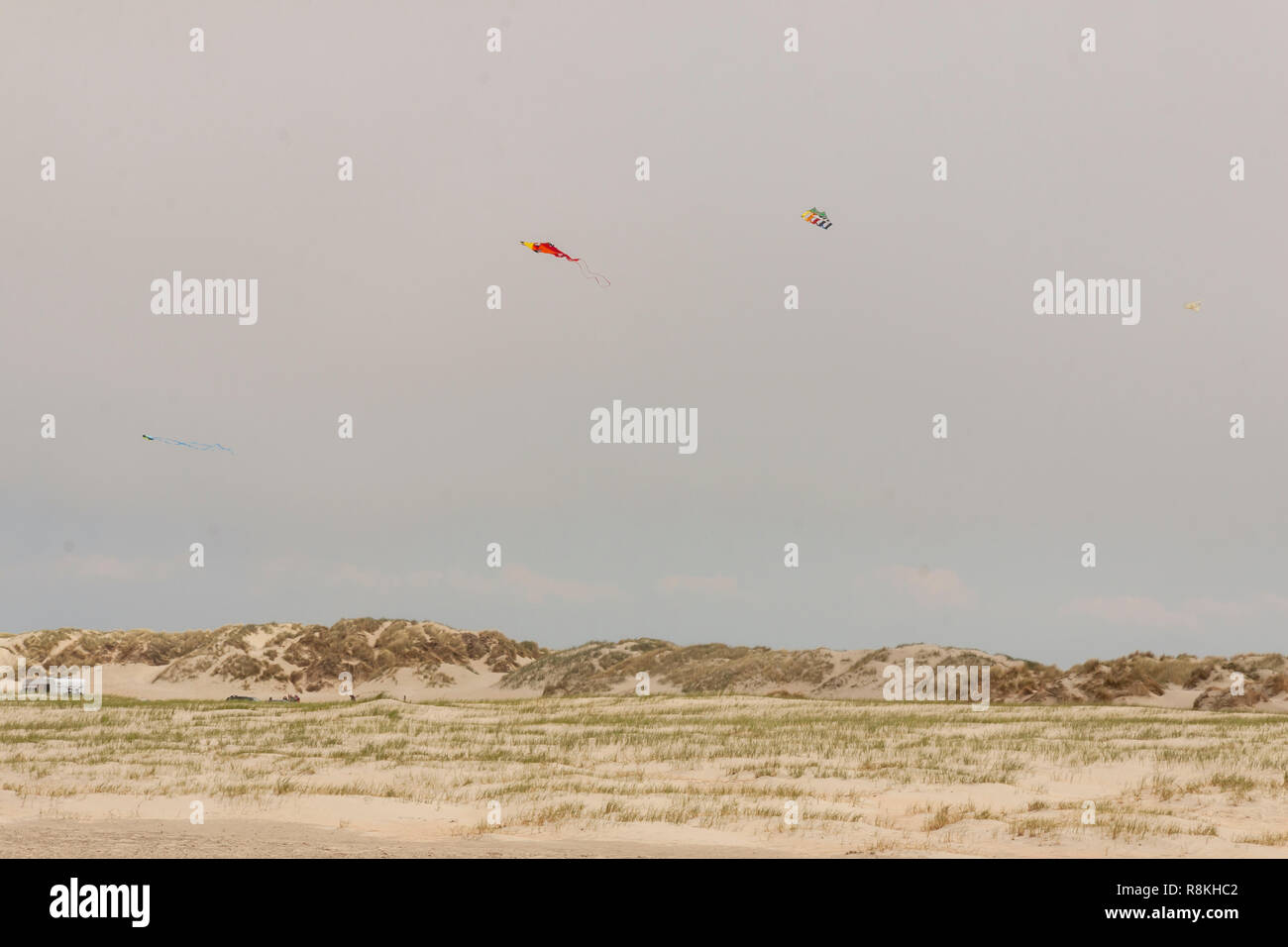 Beach on Romo Island. Denmark, Europe Stock Photo - Alamy