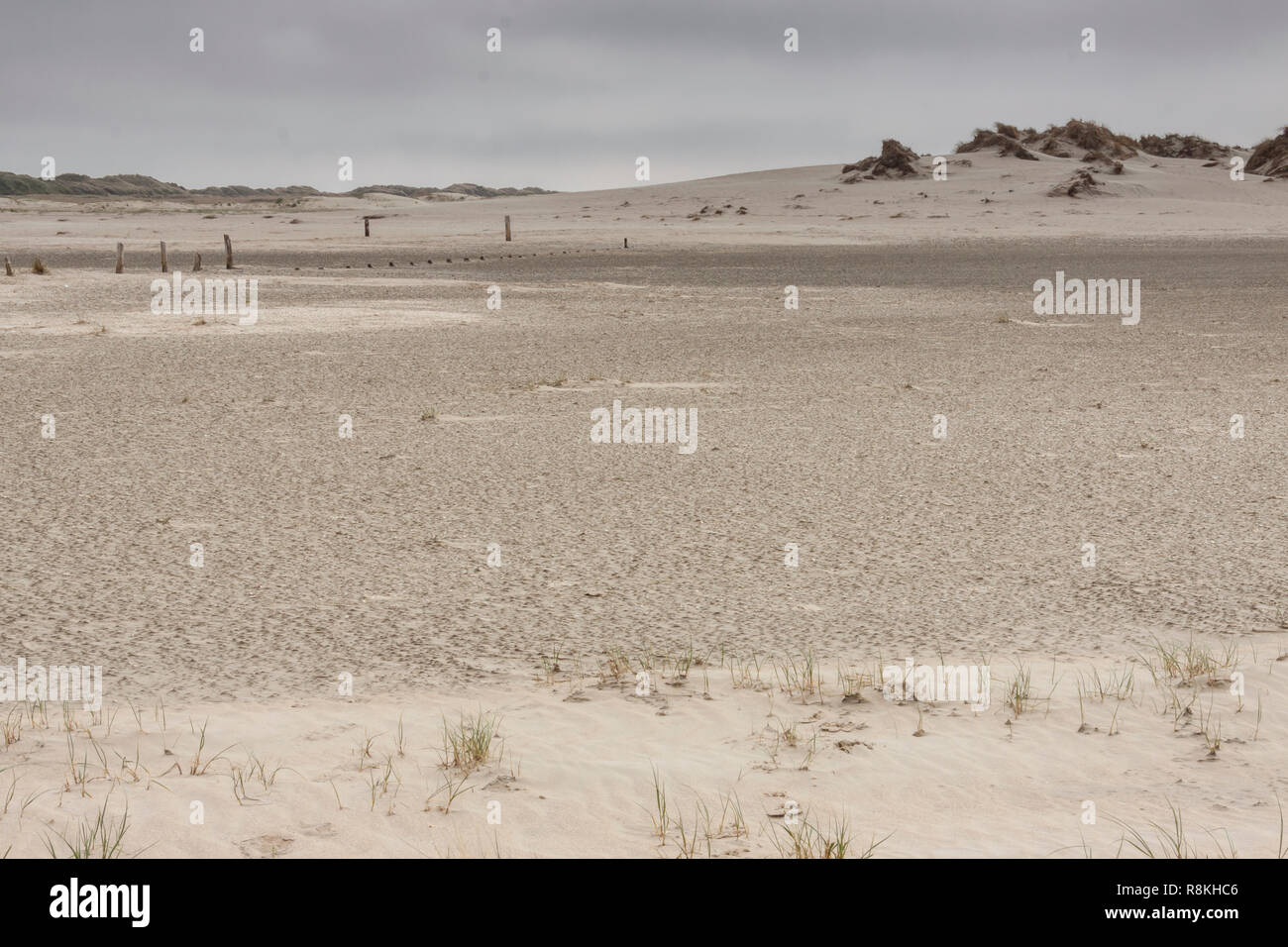 Beach on Romo Island. Denmark, Europe Stock Photo - Alamy