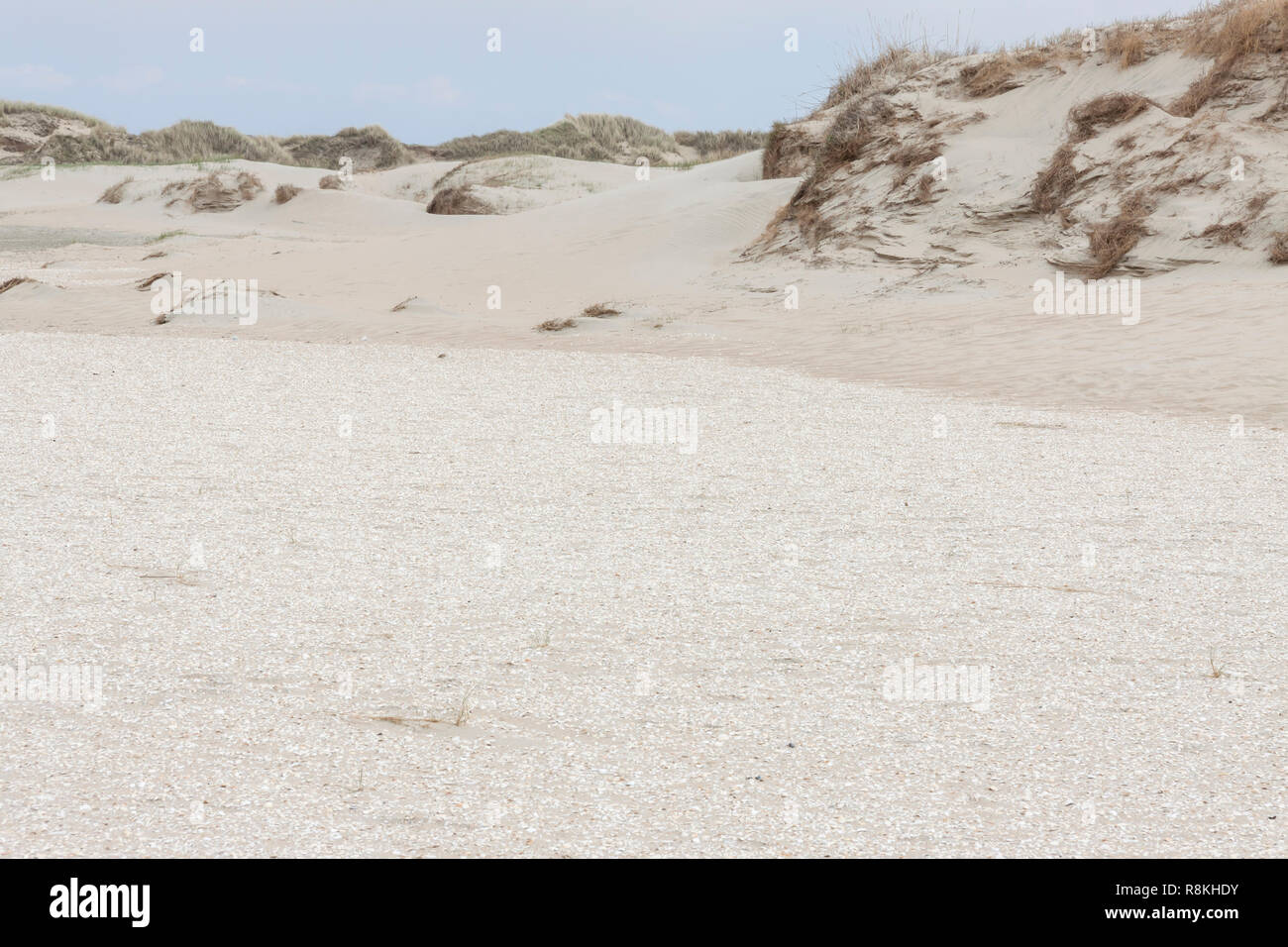Beach on Romo Island. Denmark, Europe Stock Photo - Alamy