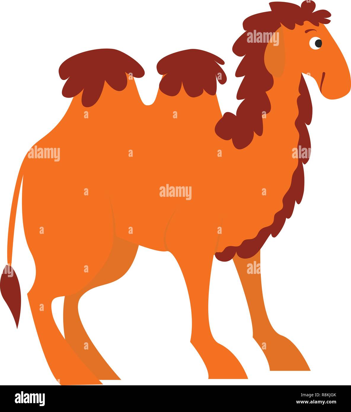 Camel icon. Cartoon of camel vector icon for web design isolated on ...