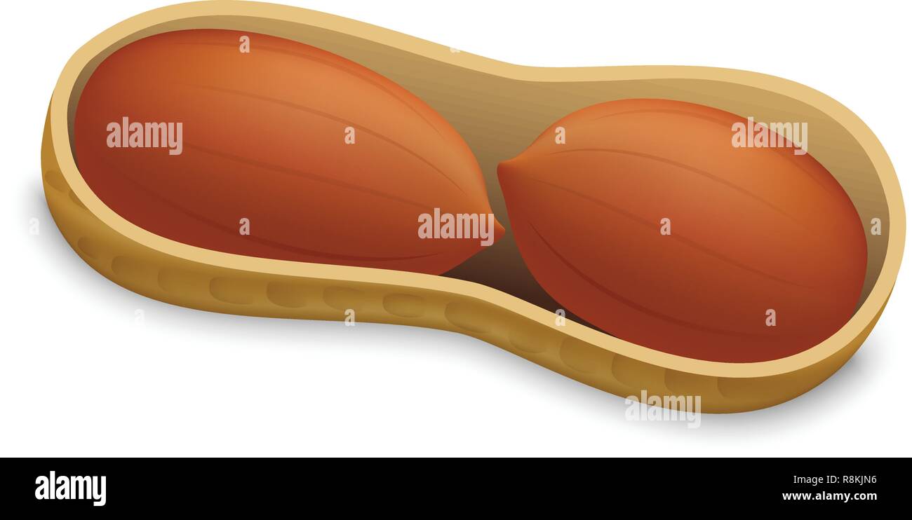 Peanut in shell icon. Realistic illustration of peanut in shell vector ...