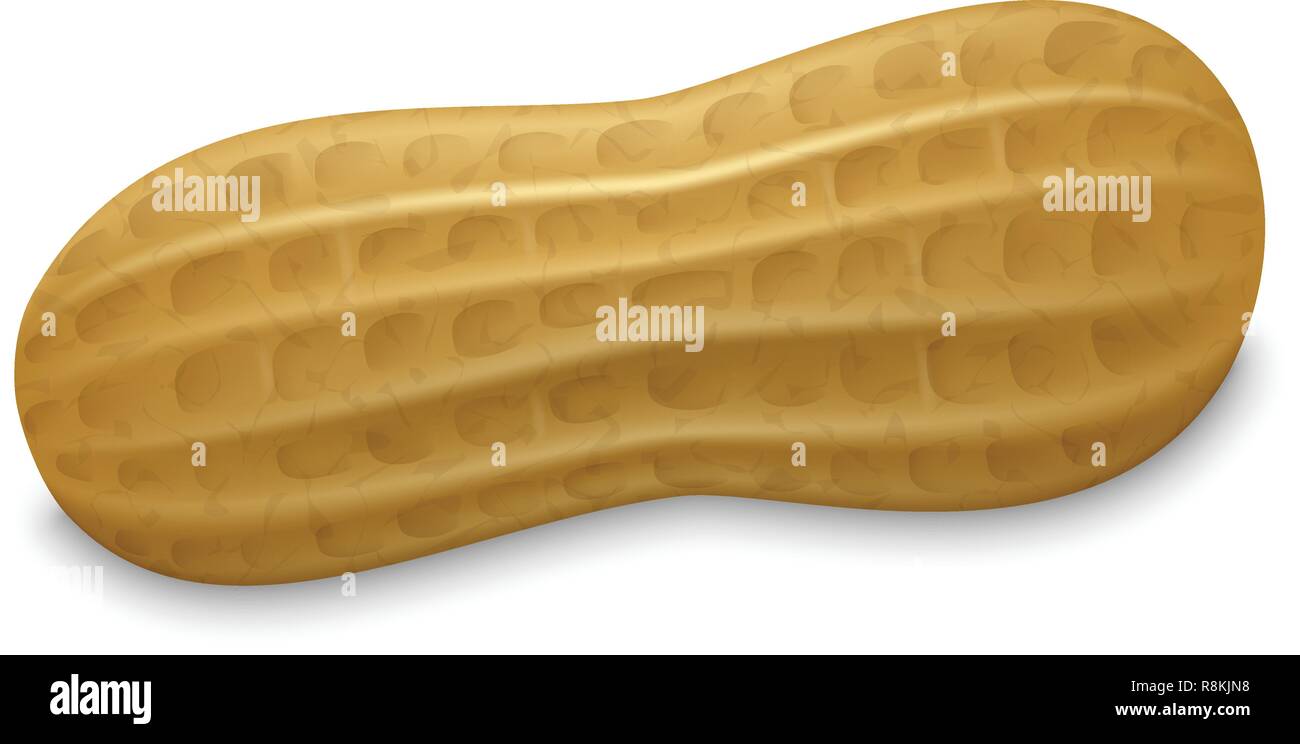 Legume top view Stock Vector Images - Alamy