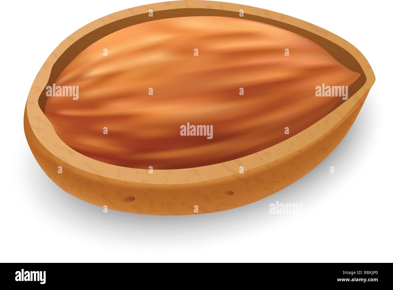 Raw almond icon. Realistic illustration of raw almond vector icon for ...