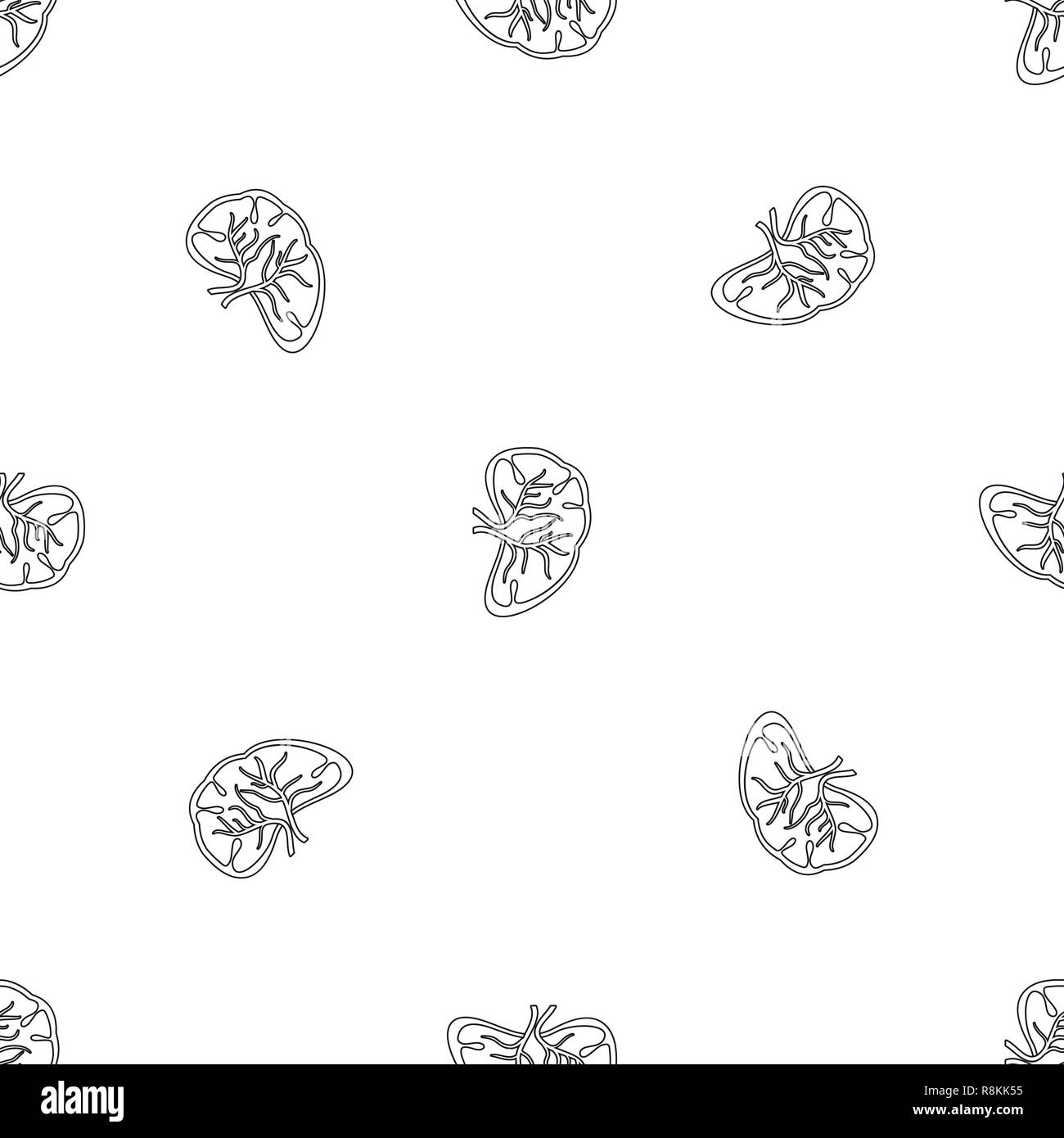 Cut spleen icon. Outline illustration of cut spleen vector icon for web ...