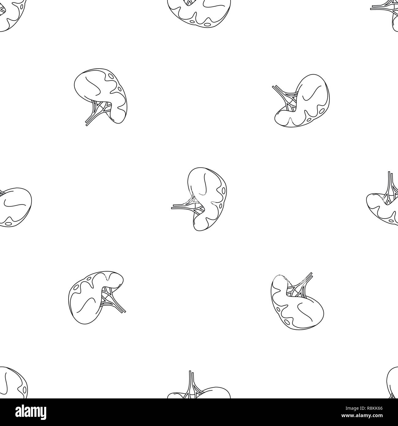 Human spleen icon. Outline illustration of human spleen vector icon for ...