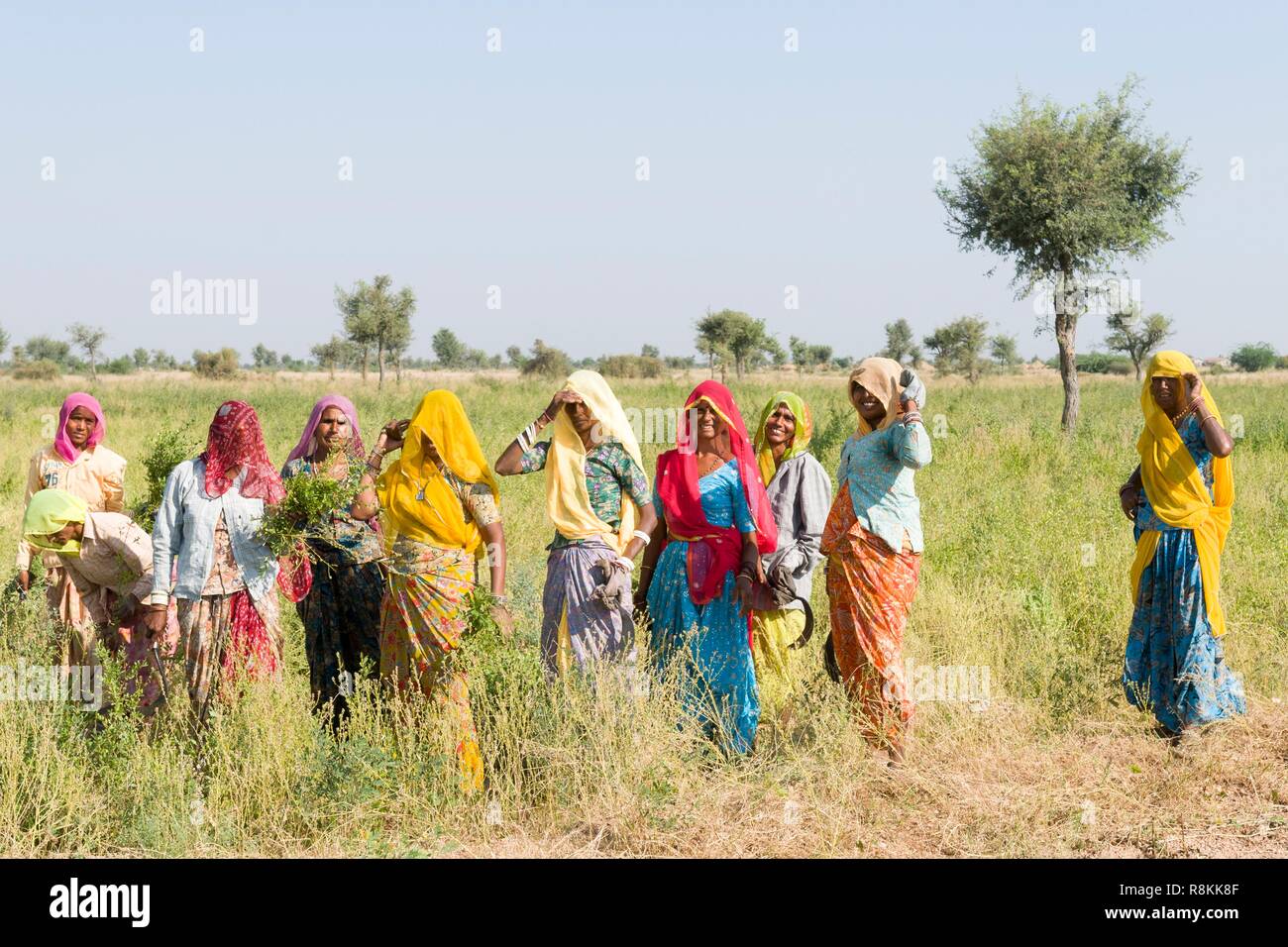 Women working in the fields hi-res stock photography and images - Alamy