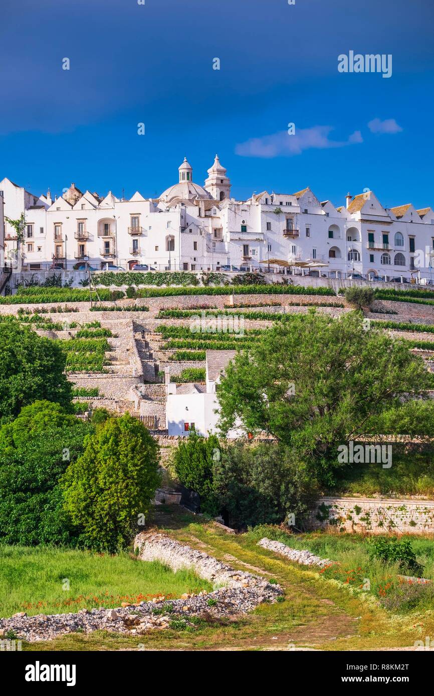 Italy, Apulia, Itria Valley, Locorotondo, its historic centre perched ...
