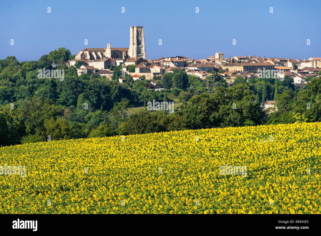 Lectoure France Stock Photos & Lectoure France Stock Images - Alamy