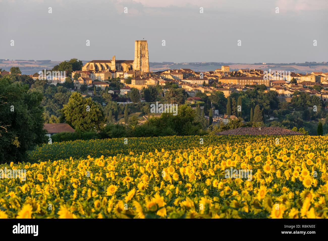 View on cathedral of lectoure hi-res stock photography and images - Alamy