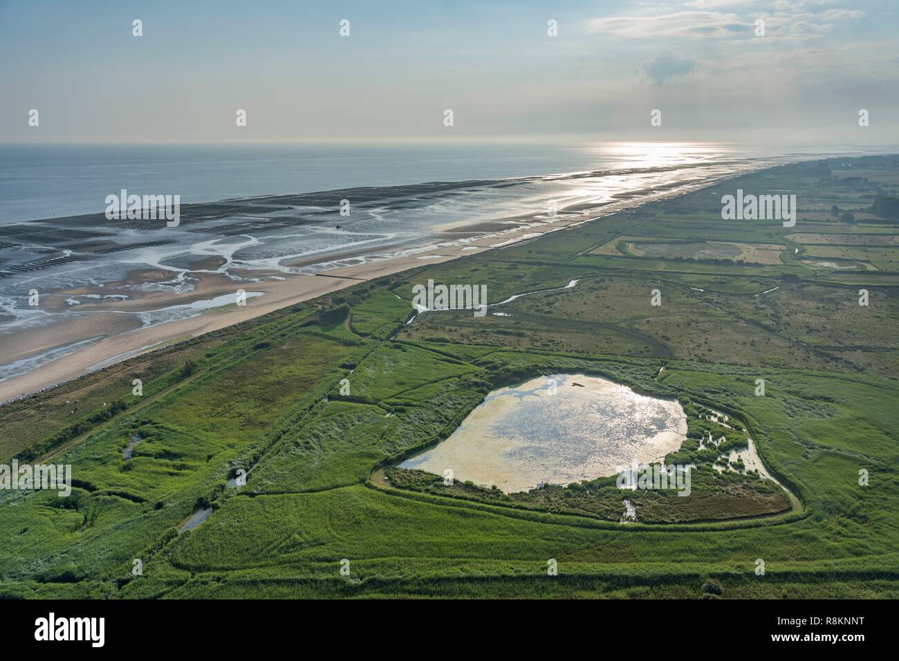 France, Normandie, Calvados, Asnelles, Gold Beach, the swamp (aerial ...