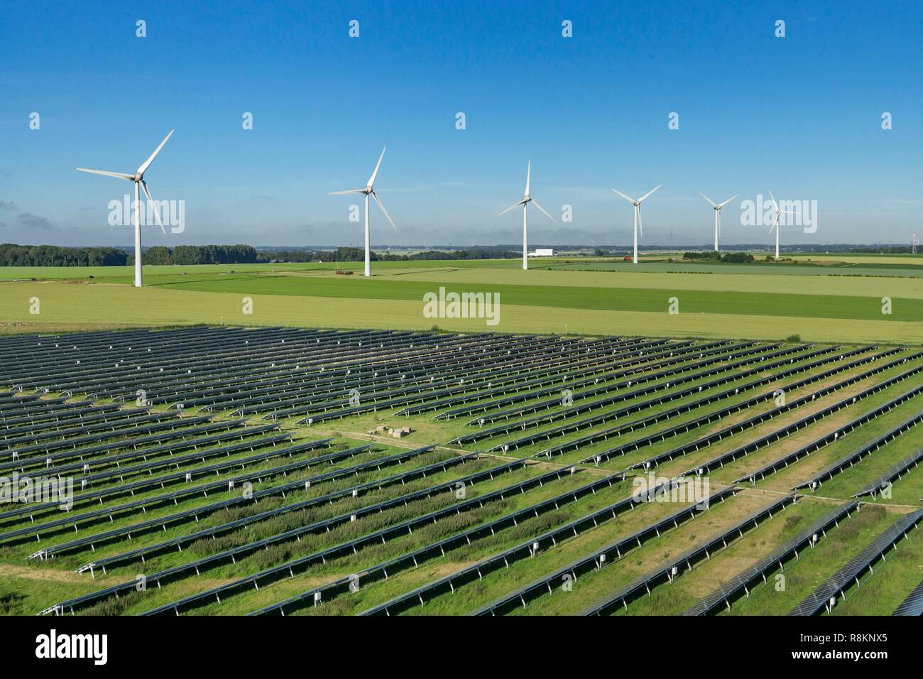 France, Normandy, Seine Maritime, Veules les Roses, Manneville es ...