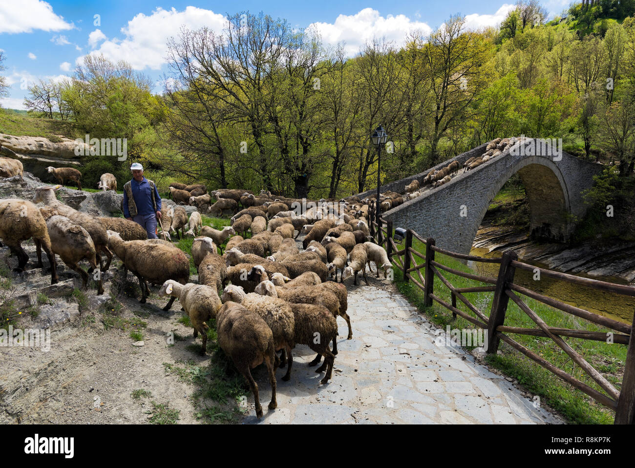 Sheep over bridge hi-res stock photography and images - Alamy