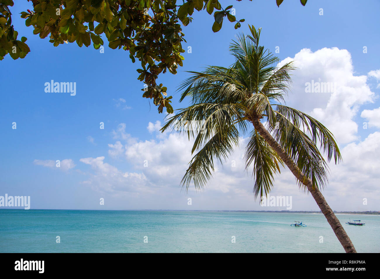 indonesia bali, kuta beach palm trees ocean view Stock Photo - Alamy
