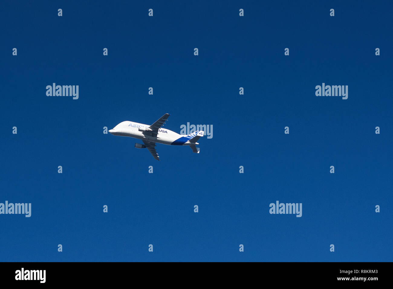 Airbus a300 600st beluga 4 hi-res stock photography and images - Alamy