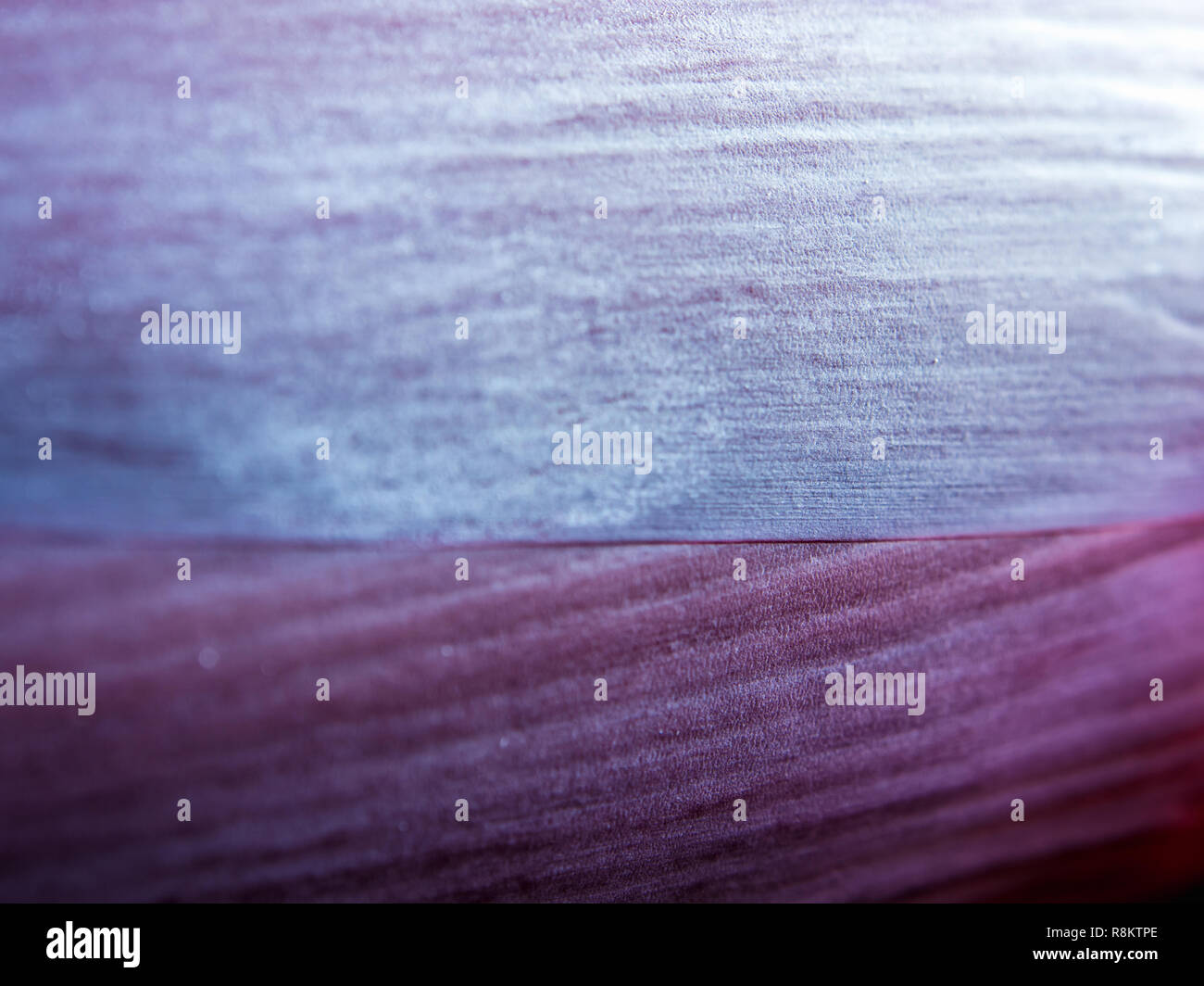 Texture of Silver bluggoe banana blossom Stock Photo - Alamy