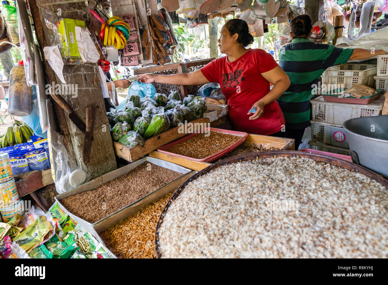 Insect food hi-res stock photography and images - Alamy