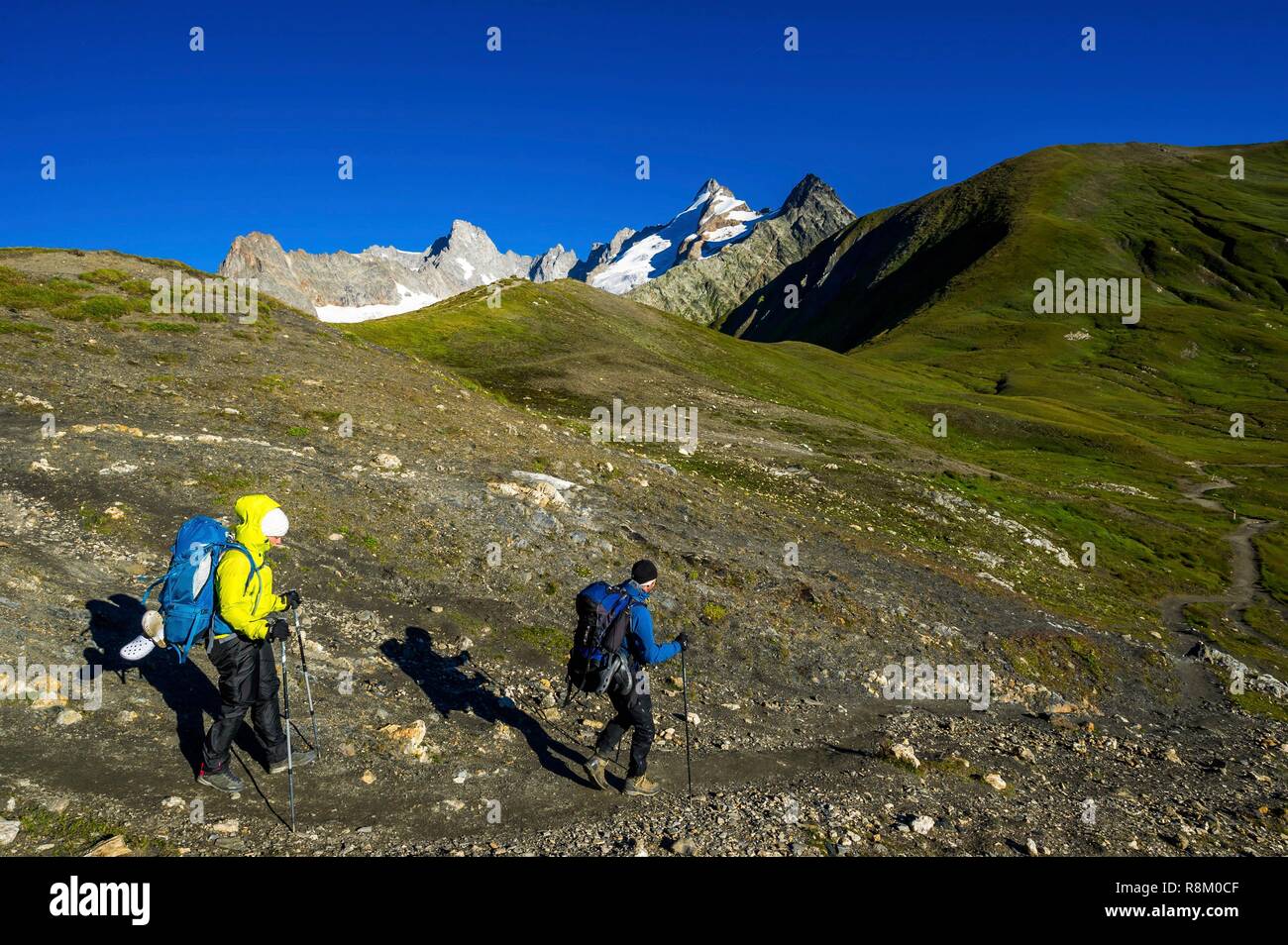 Switzerland, Valais, Val Ferret, Tour du Mont Blanc, Grand col Ferret ...