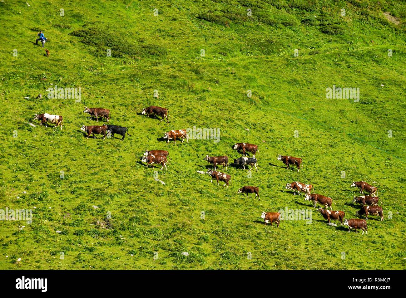 Italy, Courmayeur, Val Ferret, Tour du Mont-Blanc, Grand col Ferret ...