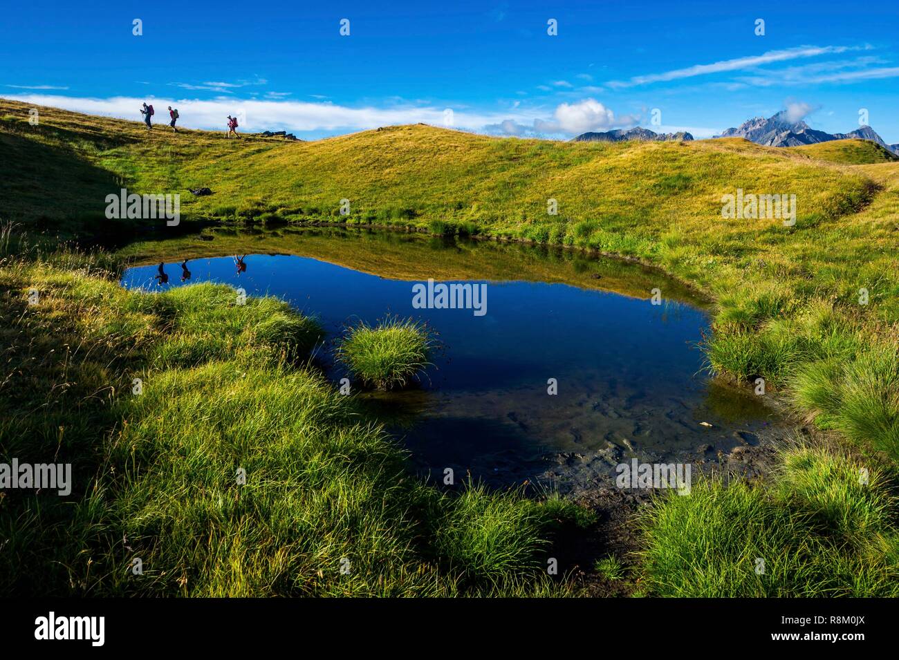 Italy, Courmayeur, Val Ferret, Tour du Mont-Blanc, ridges of la ...