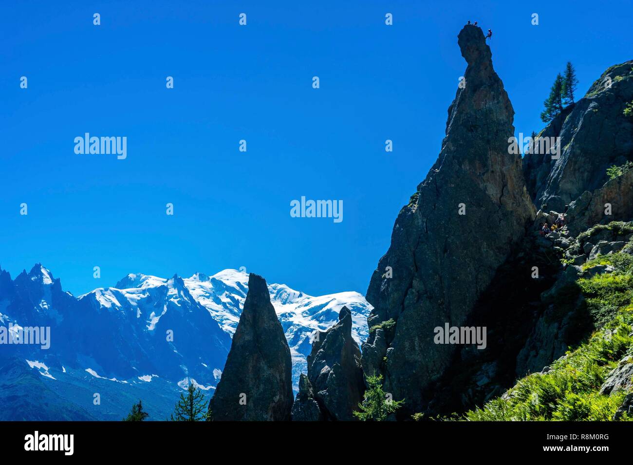 France, Haute-Savoie, Argentière, Aiguilles Rouges range, Tour du Mont ...