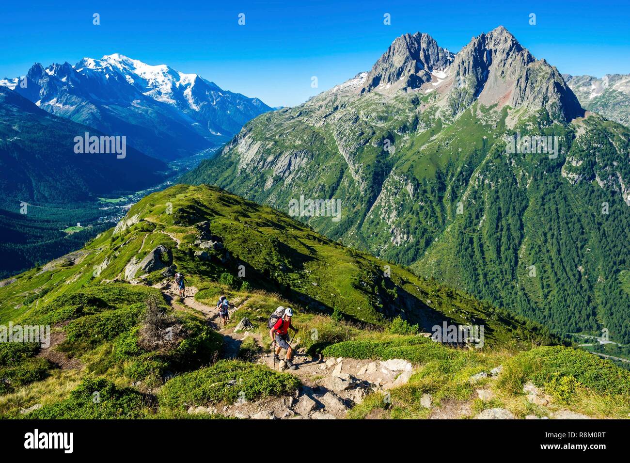 France, Haute-Savoie, Le Tour, Tour du Mt Blanc, col and Aiguille des ...
