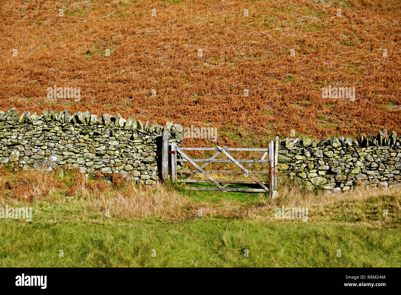 A traditional dry stone wall and wooden gate viewed against a hillside ...