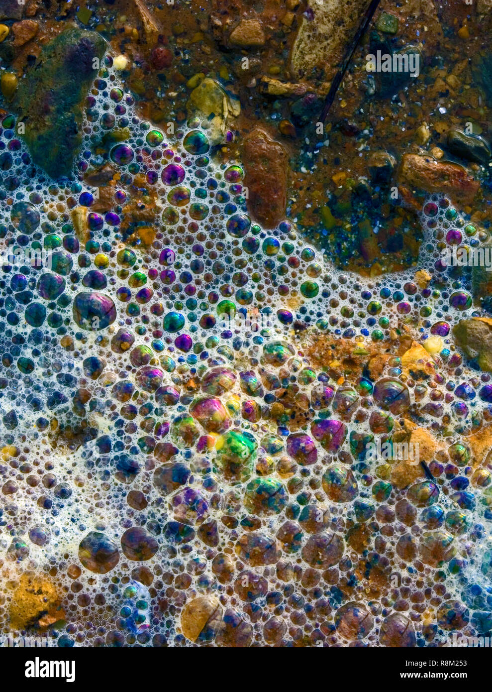 Tidal water flowing over a rocky coast produces attractive bubbles as a ...